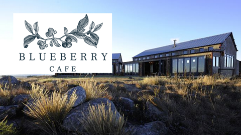 Blueberry cafe store