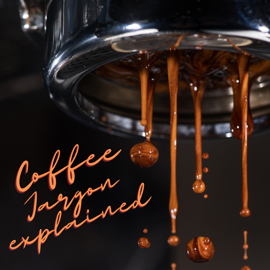 Fun Basics: Coffee Jargon Explained - Coffee Magazine