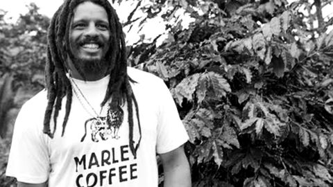 Marley Coffee - Coffee Magazine