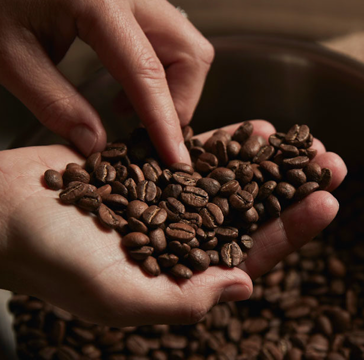 Roaster Focus: What is happening to coffee beans inside the roaster ...