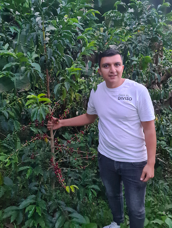 Colombia Coffee Producer Interviews: Nestor Lasso - Coffee Magazine