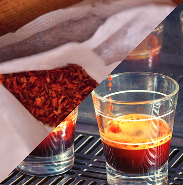 What's the difference between a normal rooibos teabag and what goes in ...
