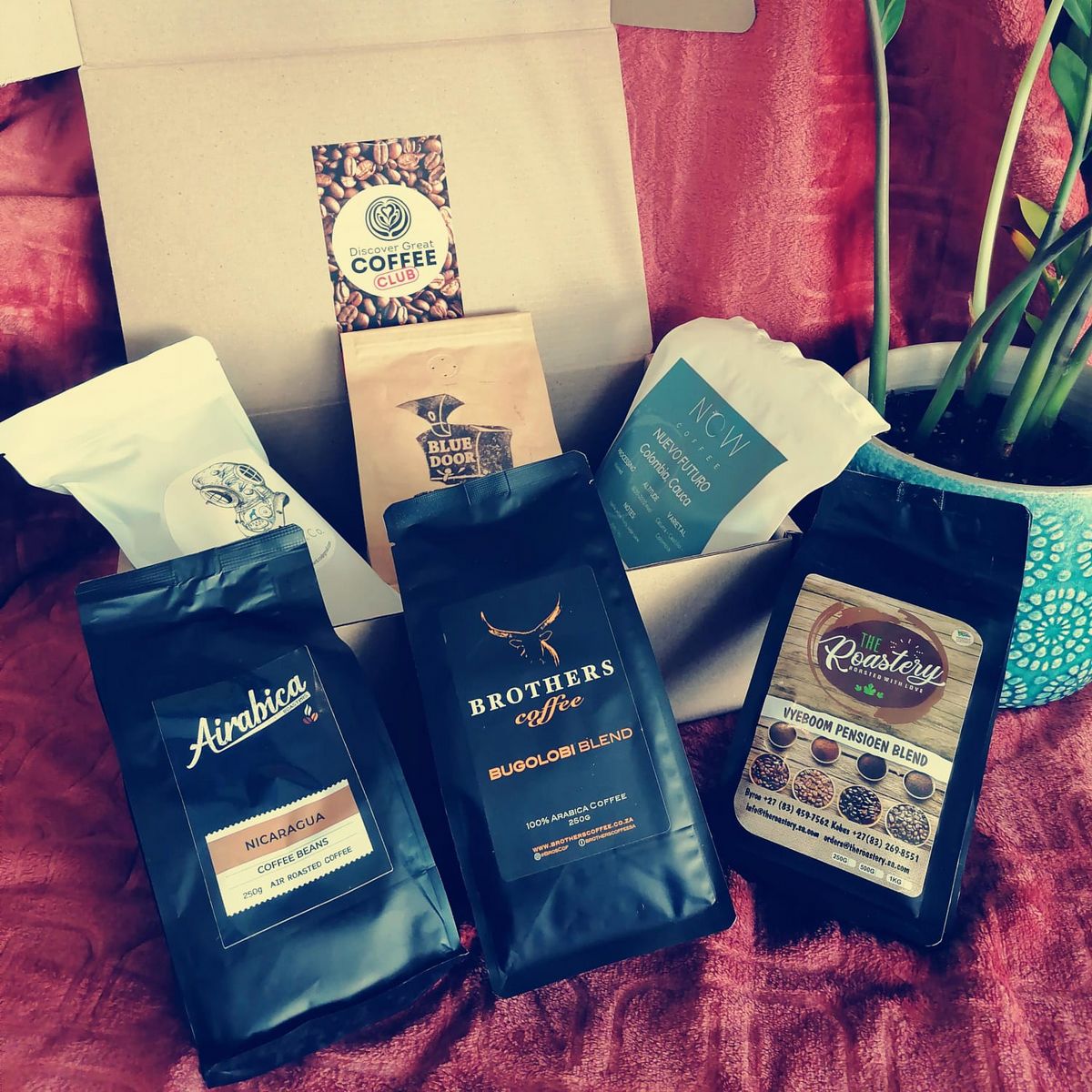 WIN!!!! Fresh Discover Great Coffee Box: Top 6 of A Shot in the Dark # ...